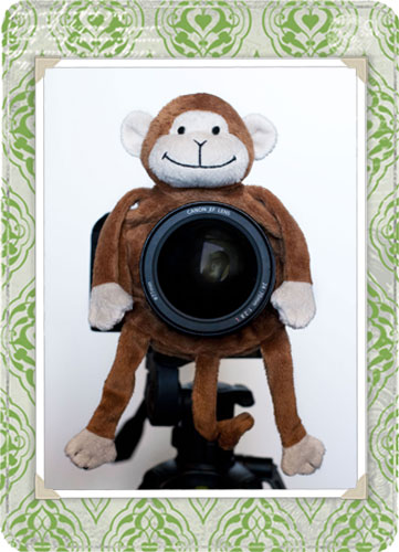 The Camera Bag: Shutter Hugger stuffed toy camera accessory for child ...