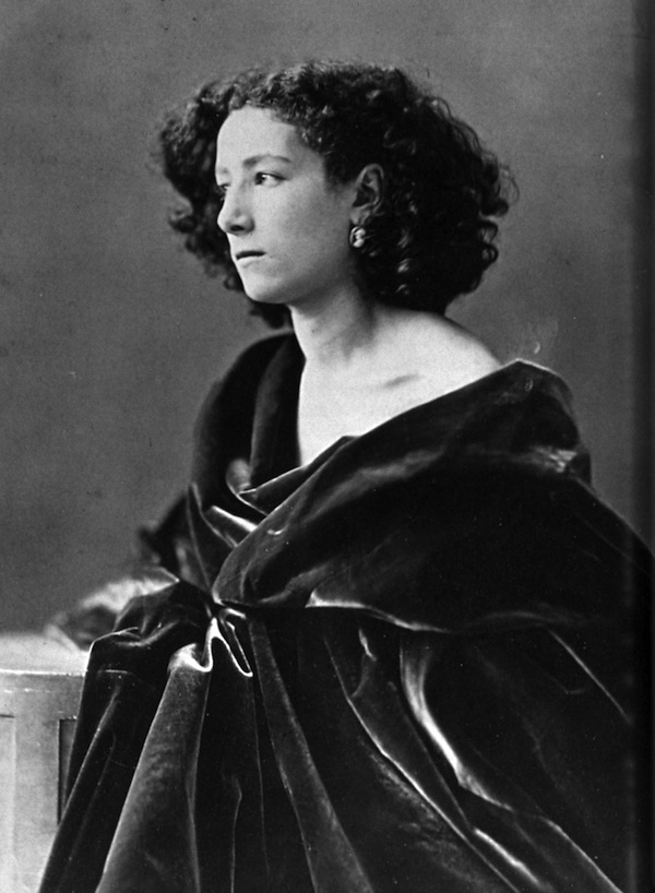 The incomparable Nadar: Master photographer, political cartoonist and ...