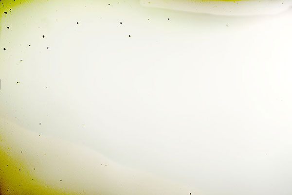 Nikon D600 dust problem solved; owners get the repair they’ve been ...