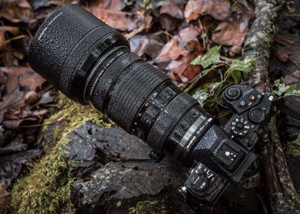 Olympus 40-150mm f/2.8 Pro Lens Review: The best current telephoto zoom ...