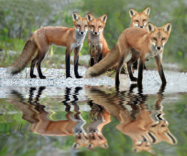 The glories of nature: We announce our September Photo of the Day ...