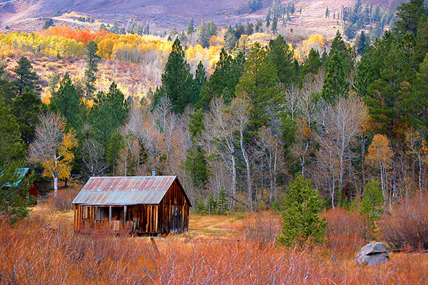 The glories of nature: We announce our September Photo of the Day ...