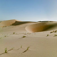 Google Street View takes to the desert in Abu Dhabi - Imaging Resource
