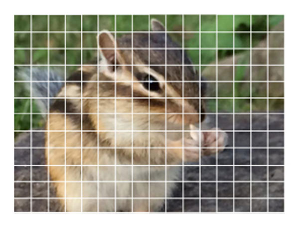 Sony brings 192-point phase-detect autofocus, 4K HDR movies to your ...