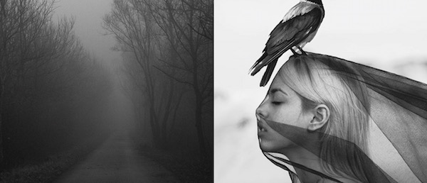 Mastin Labs Ilford B&W Preset Pack takes film emulation to the next ...