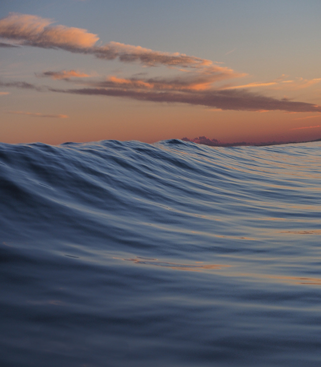 Caffeine Priority: Chasing dolphins at dusk with the Olympus E-M10 II ...
