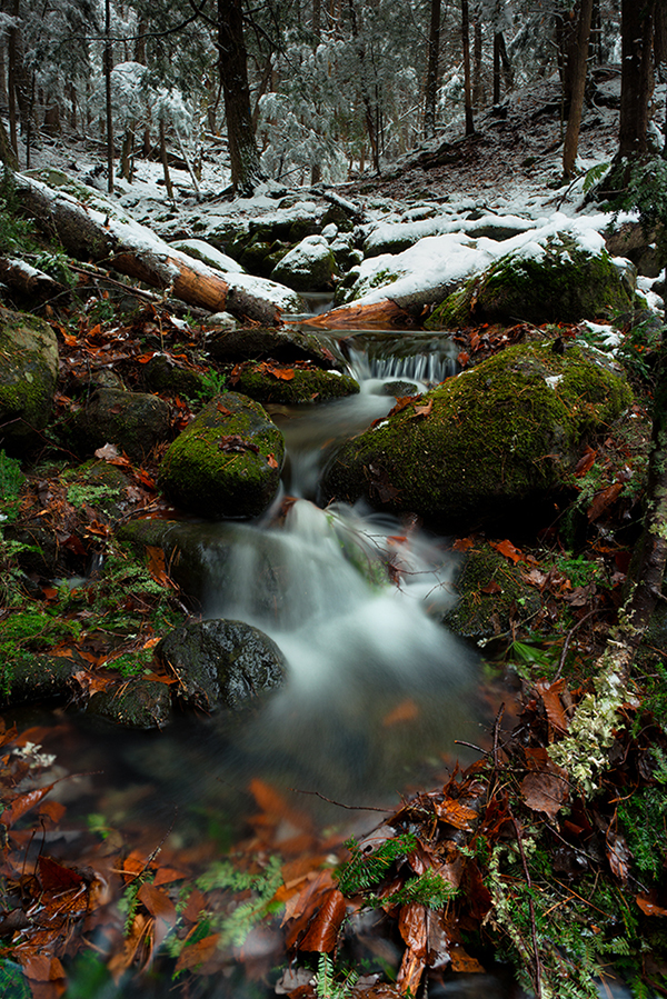 From scouting to finishing images, a comprehensive landscape ...