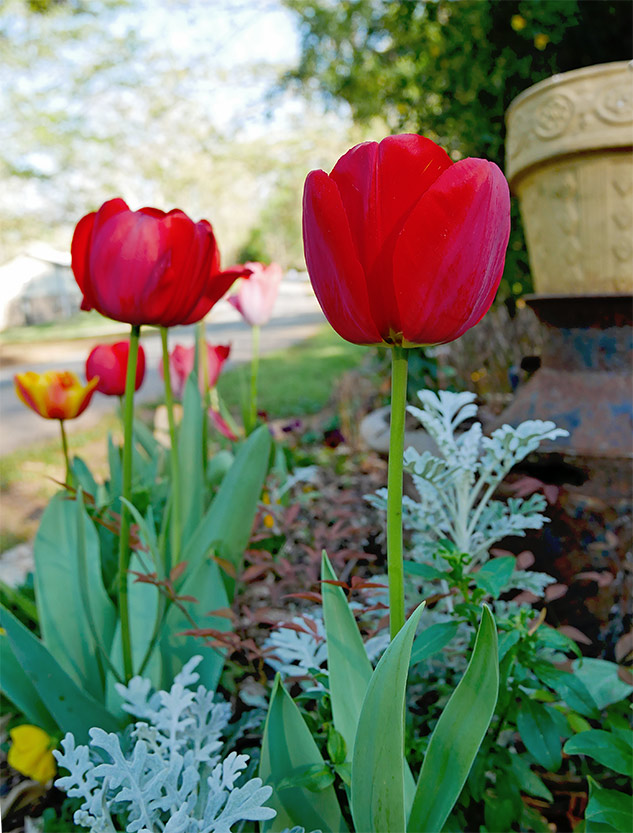 Panasonic GX85 Conclusion: Packing a wealth of features and performance ...