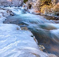 Sony A99 II Field Test Part I: The new flagship A-mount camera’s high ...