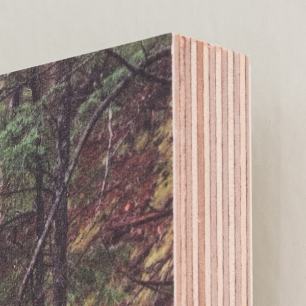 WhiteWall Direct Print on Wood Review: A natural-looking print with its ...
