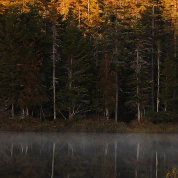 Canon SL2 In the Field: What sort of flexibility do RAW files from the ...