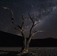 See the 8K time-lapse power of the 45.7-megapixel Nikon D850 DSLR ...