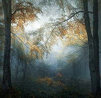 American photographer Richard Frishman captures two prizes in 2018 Sony ...