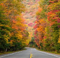 All about the new Adobe Profiles: What they are and how to create your ...