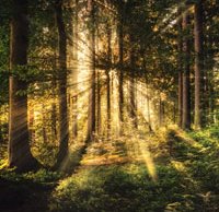 Create realistic light rays in Photoshop using 3 simple steps - Imaging ...