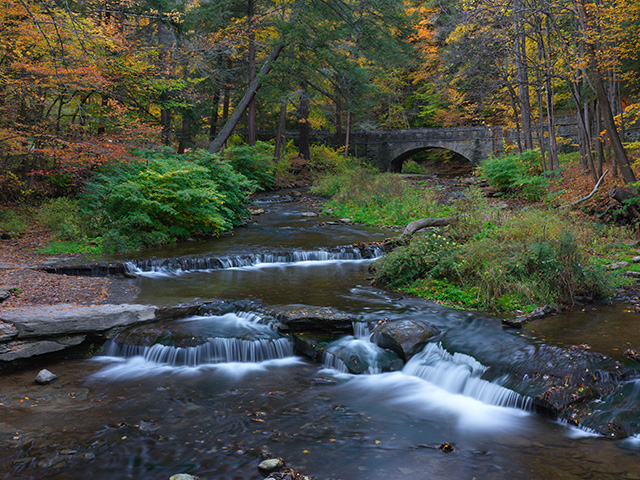 Hasselblad X2D 100C Gallery: Come see our real-world shots from ...