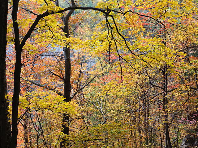 Hasselblad X2D 100C Gallery: Come see our real-world shots from ...