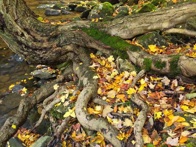 Hasselblad X2D 100C Review - Imaging Resource