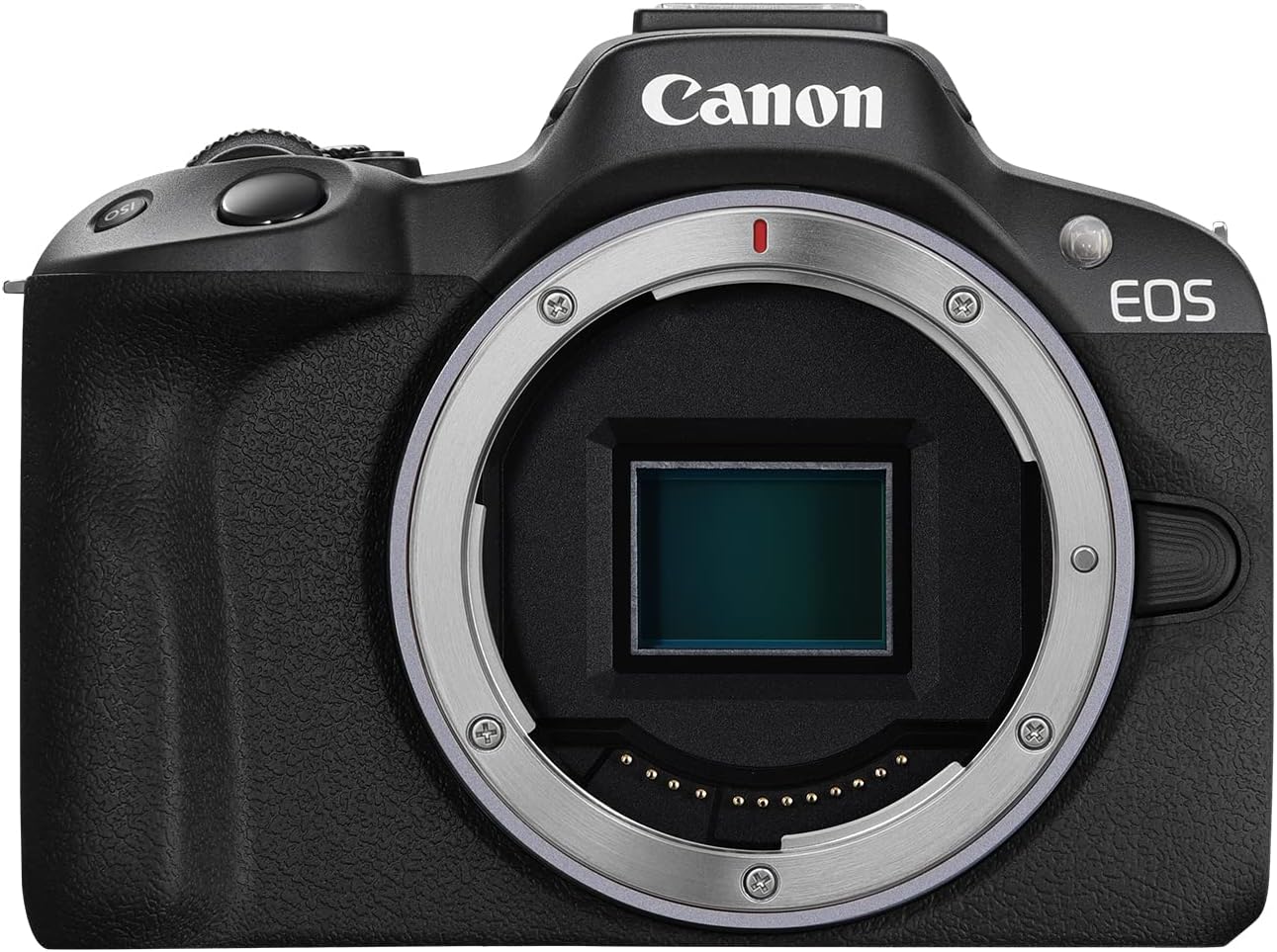 Our Editor-in-Chief’s Favorite Entry-Level Canon Camera Just got $100 ...