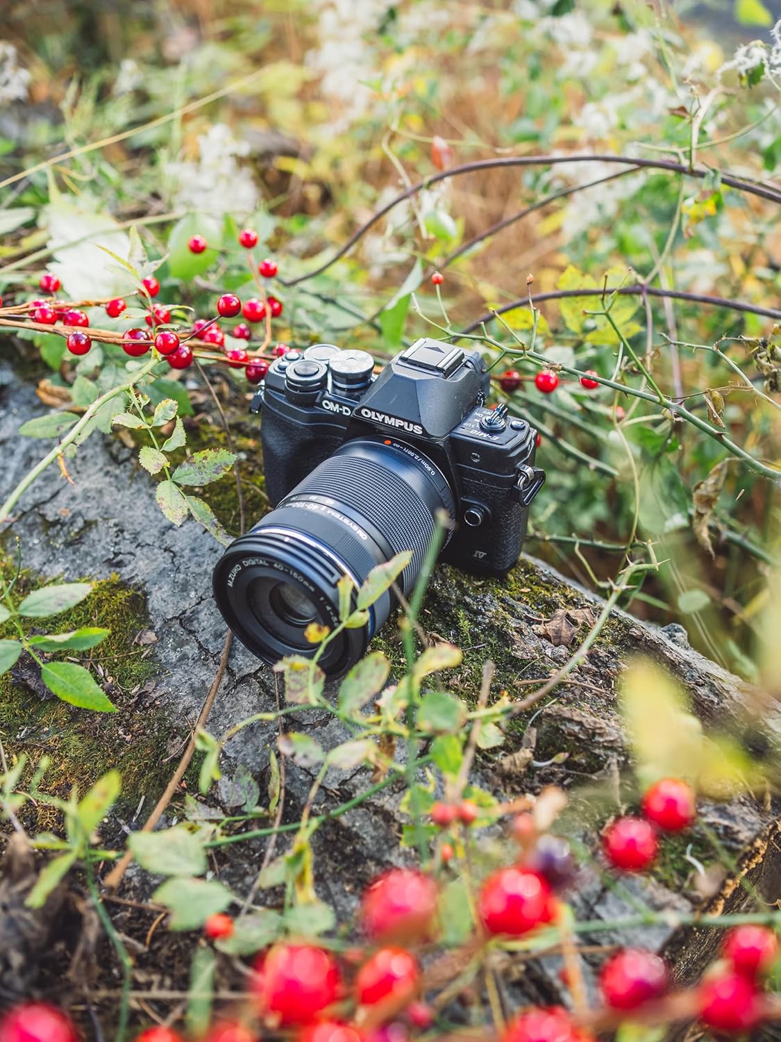 This Amazon Deal Just Took $240 Off OM SYSTEM E-M10 Mark IV Camera ...