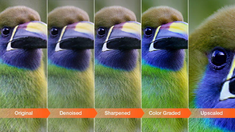 Comparing 6 Best AI Photo Enhancers for Realistic Details - Imaging ...